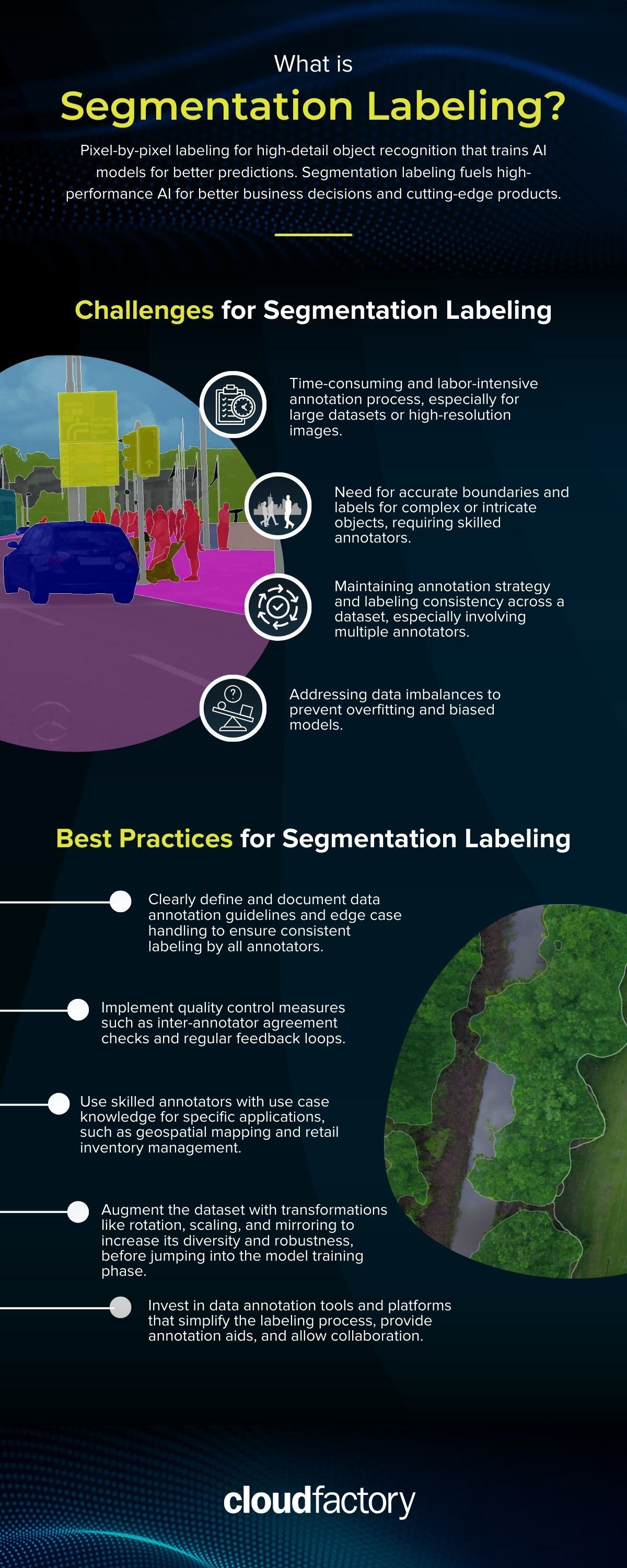 Image segmentation best practices: An infographic for business leaders