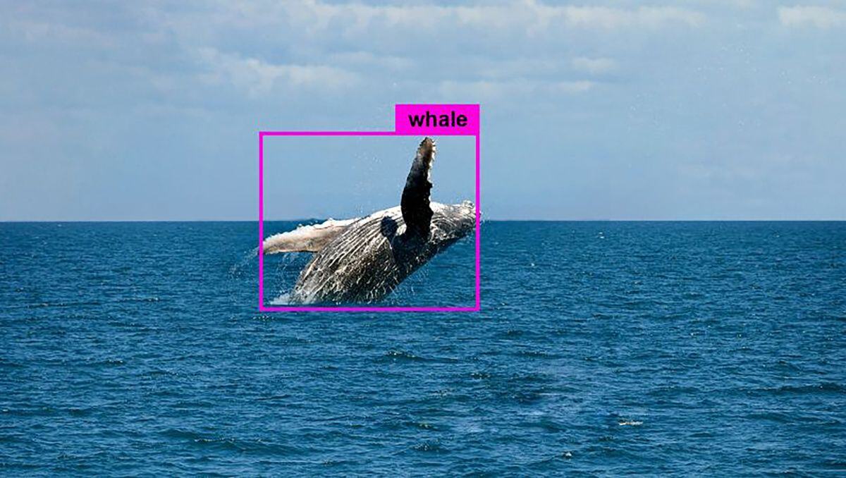 How to overcome data scarcity with quality data labeling