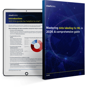 Data Labeling for ML: A Comprehensive Guide