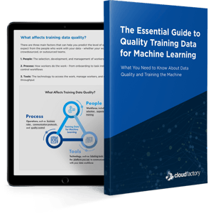 Quality Machine Learning Training Data: The Complete Guide