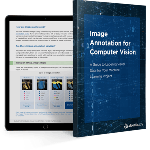 Image Annotation: Labeling Visual Data for Machine Learning