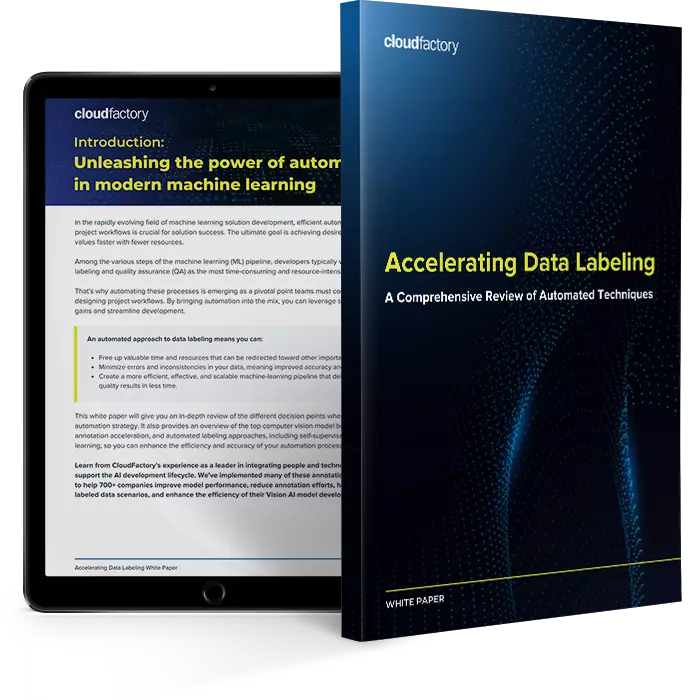 Accelerating Data Labeling: A Comprehensive Review of Automated Techniques Accelerating Data Labeling: A Comprehensive Review of Automated Techniques