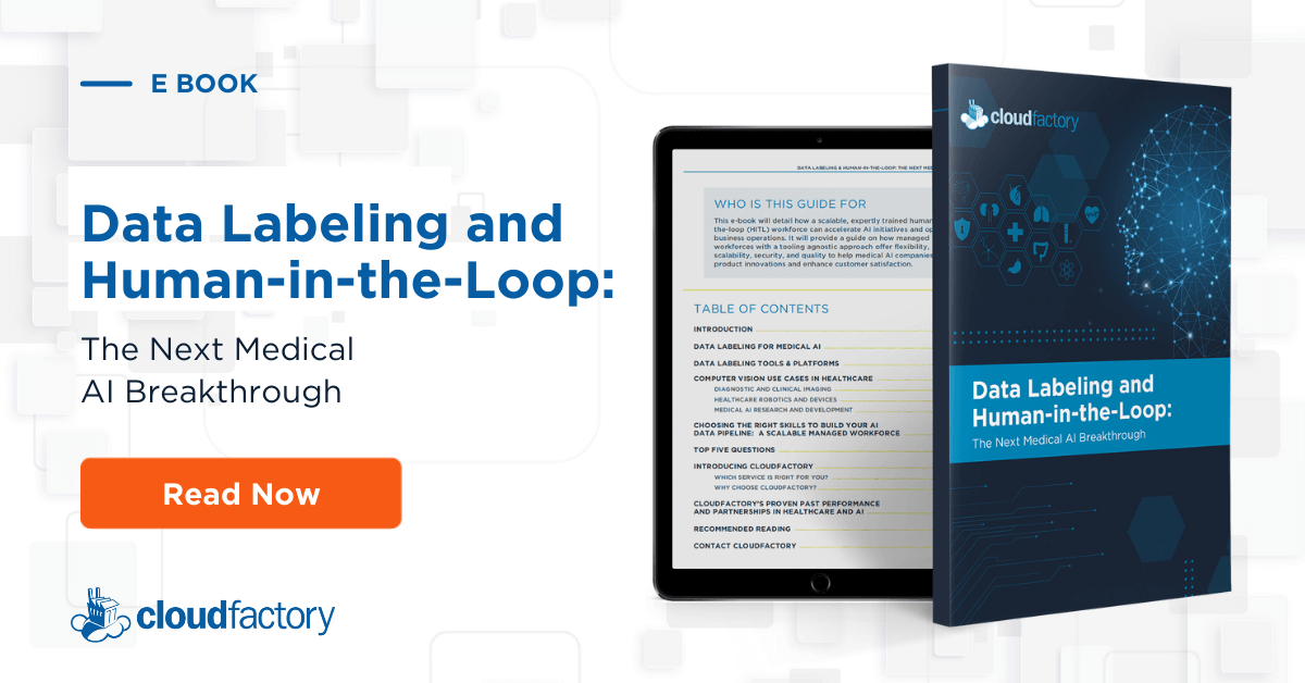 Data Labeling & Human-in-the-Loop: The Next Medical AI Breakthrough